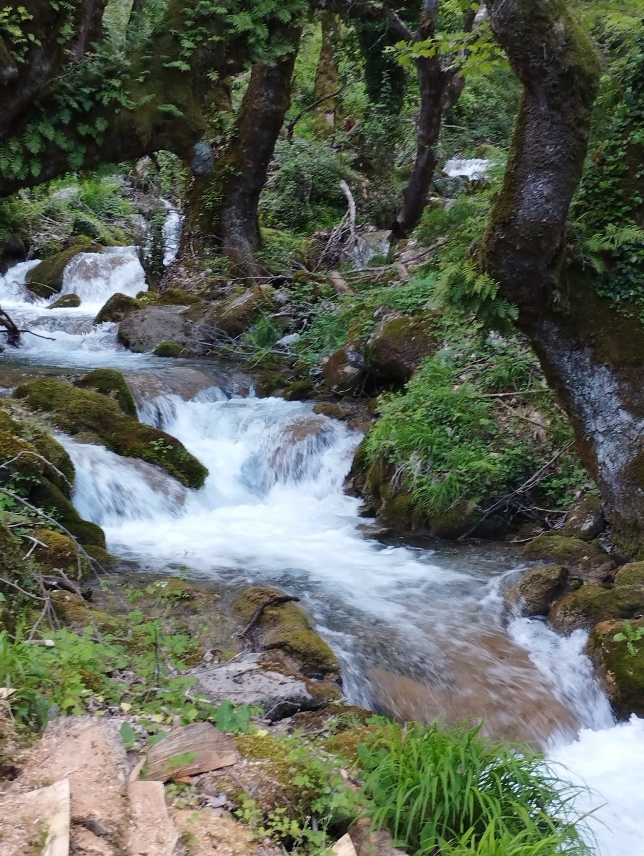 Μια εξαιρετική απόδραση, μια υπέροχη εκδρομή, από το ΚΔΑΠ «Φρούριο» Δ ...